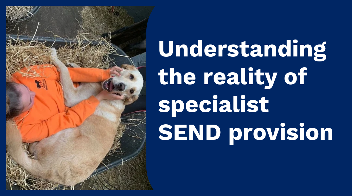Understanding the reality of specialist SEND provision